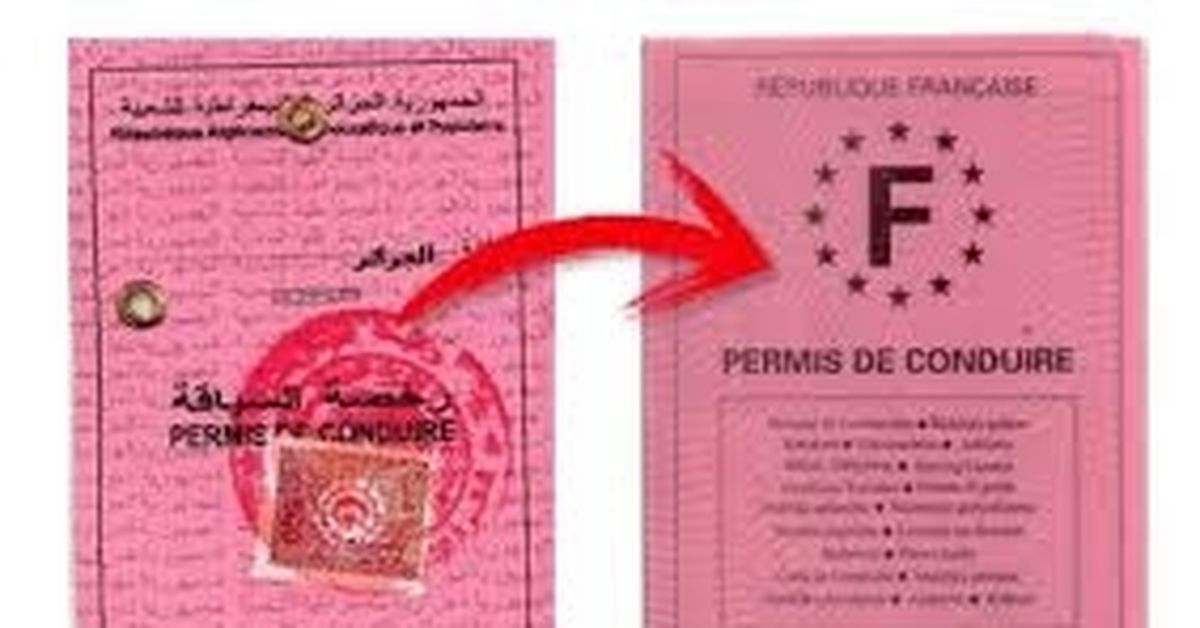 Comment obtenir la traduction officielle mon permis de conduire algérien
